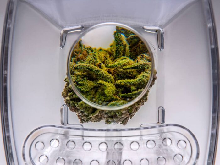 Bud Pod™ | Seals Airtight for Freshness | Bud Bar Displays®