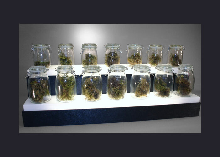 Bud Cabinets - Bud Bar Displays