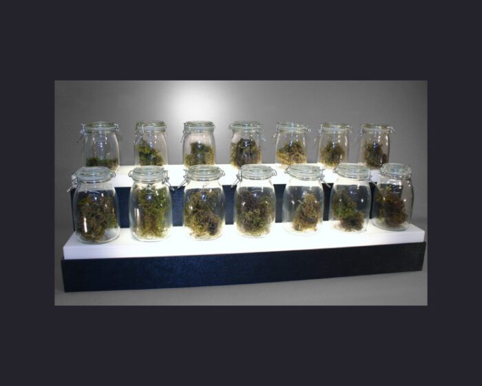Tiered Counter Displays | Cannabis Riser | Bud Bar Displays®