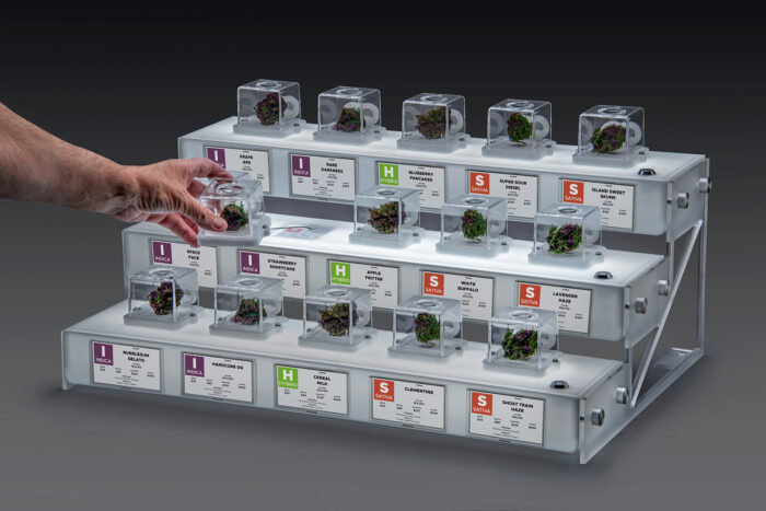 Bud Pod Bar™ Budtender Display | Premium | Bud Bar Displays®