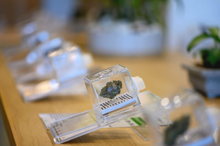 Recreational Cannabis Displays in Your Retail Dispensary