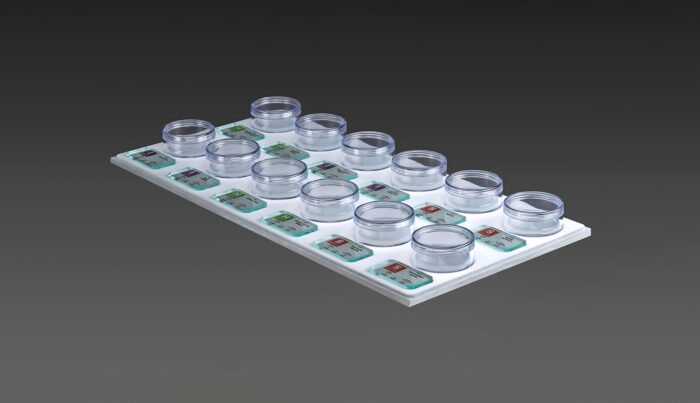 Xtract Elite Lite™ - Bud Bar Displays®